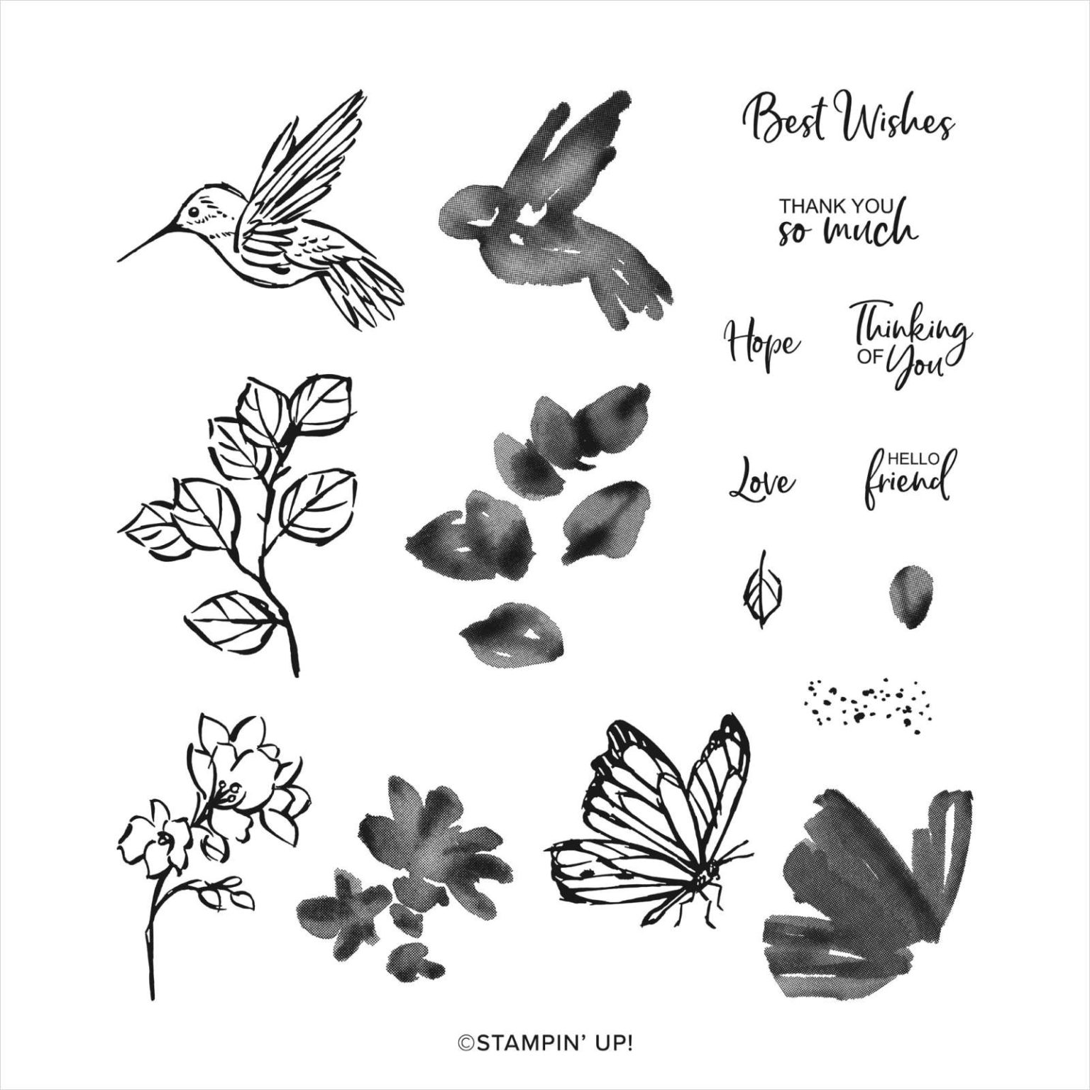 Stampin’ Up! – A Touch Of Ink | Swimming In Stamps