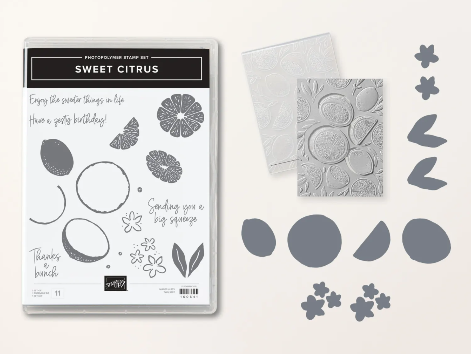 Sweet Citrus Bundle Online Class | Swimming In Stamps